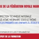 FRMT – Fédération Royale Marocaine de Tennis